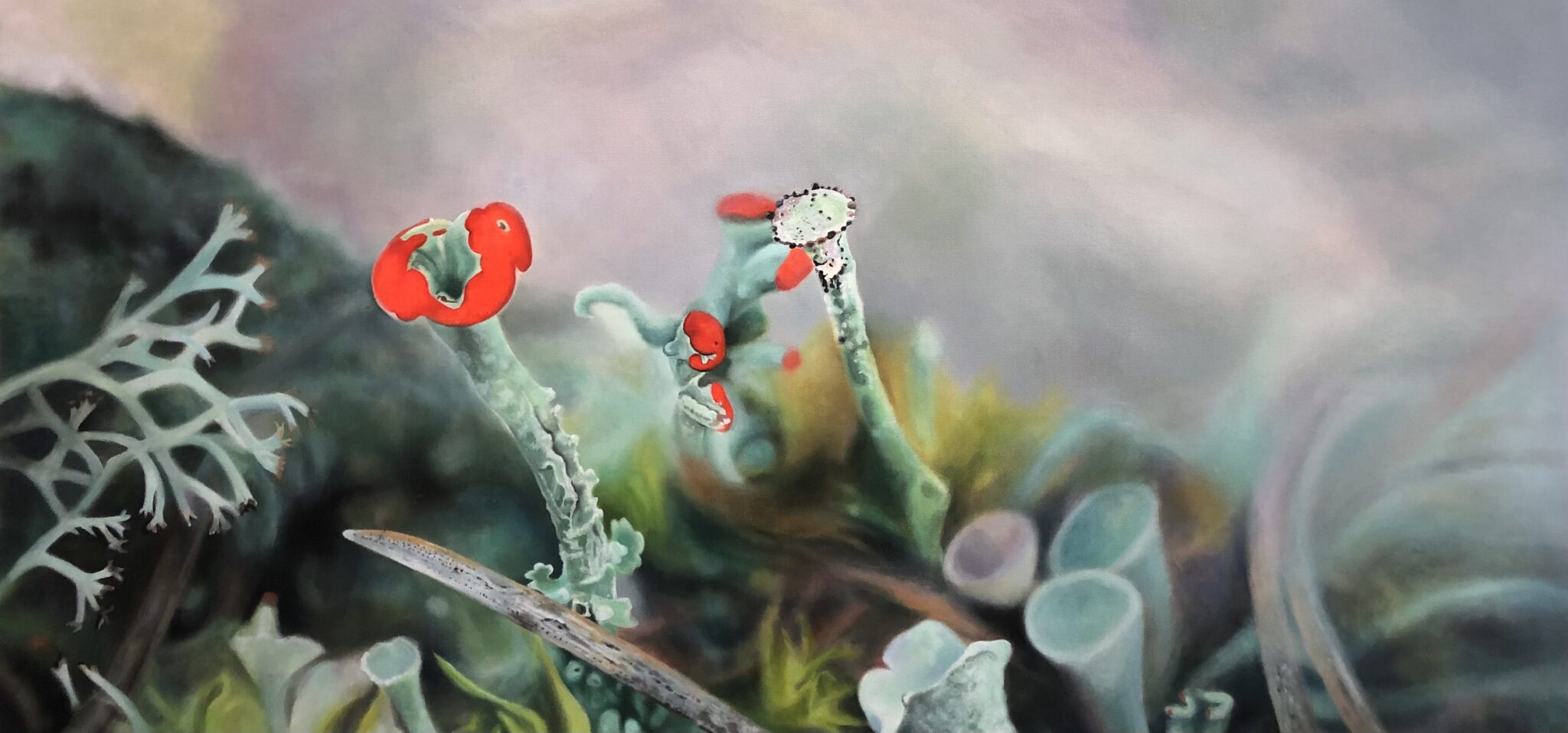 Portfolio - Melanie MacDonald